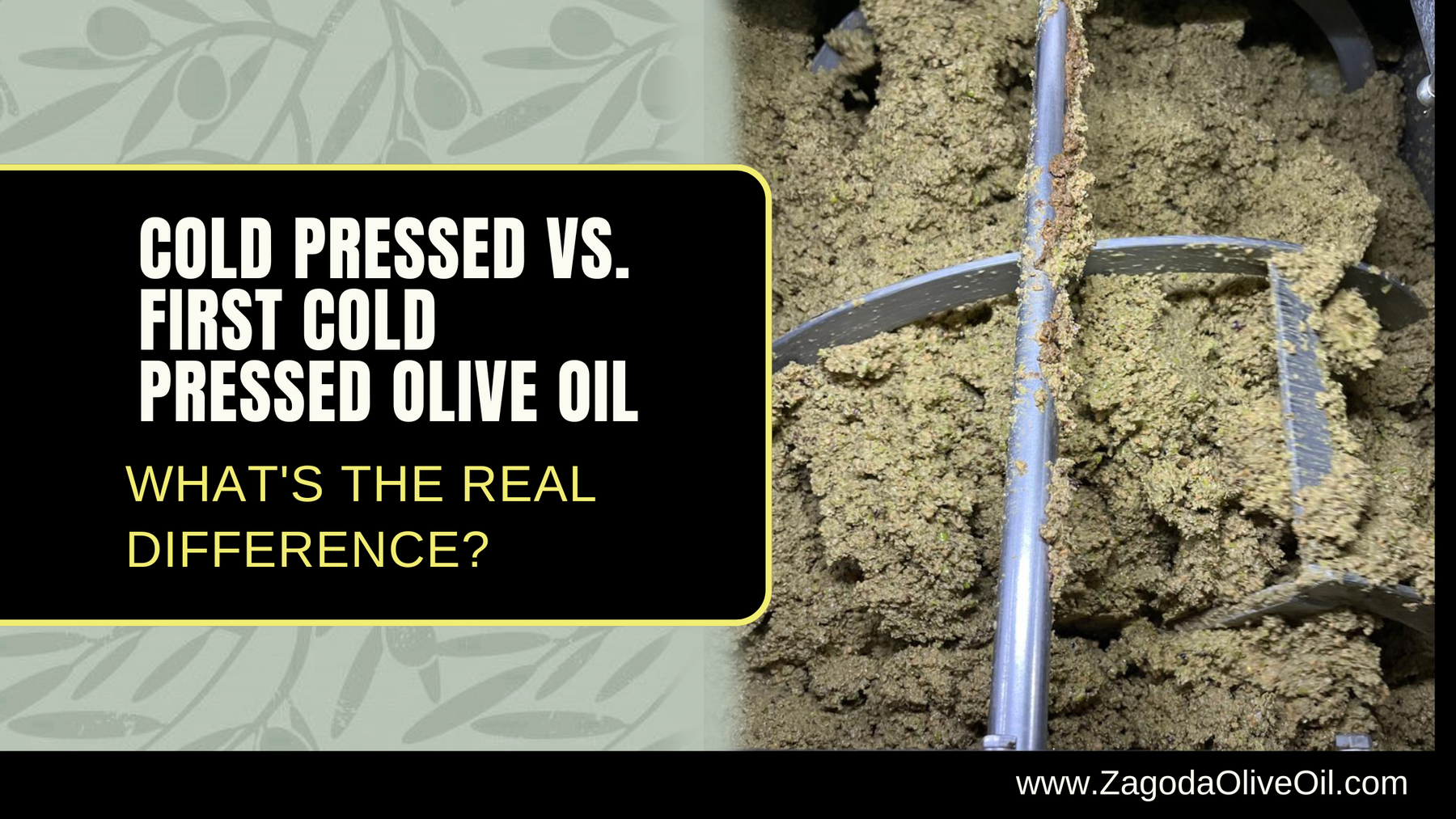 Cold Pressed vs. First Cold Pressed Olive Oil: The Real Difference ...